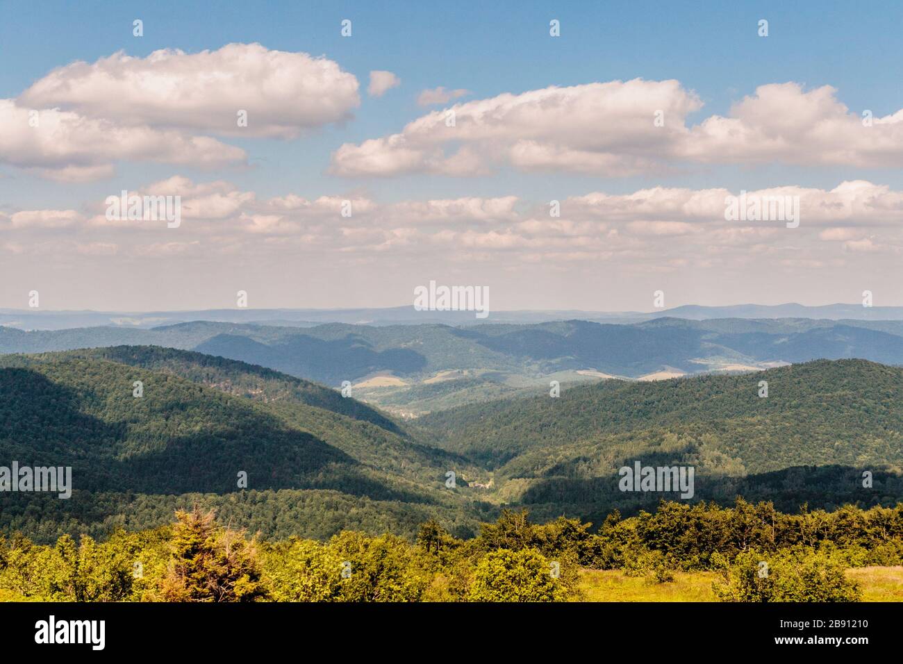 The road from Mieczysław Orłowicz Pass to Smerek Peak in the Bieszczady ...
