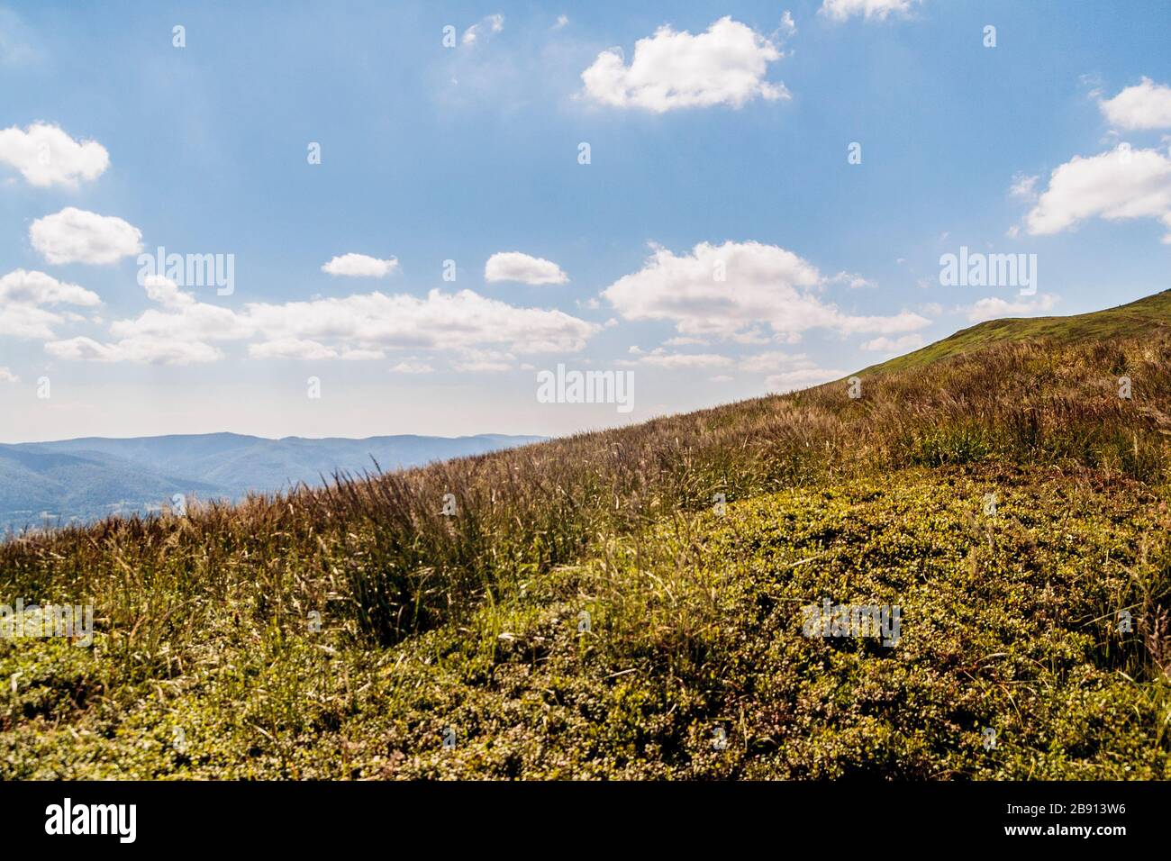 The road from Mieczysław Orłowicz Pass to Smerek Peak in the Bieszczady ...