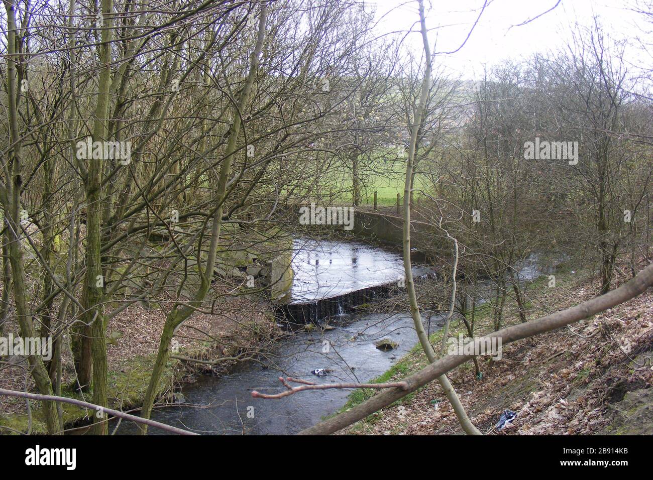 P Hogg High Resolution Stock Photography and Images - Alamy