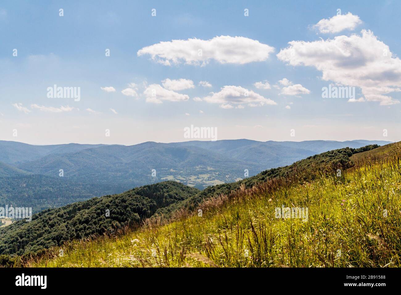 The road from Mieczysław Orłowicz Pass to Smerek Peak in the Bieszczady ...