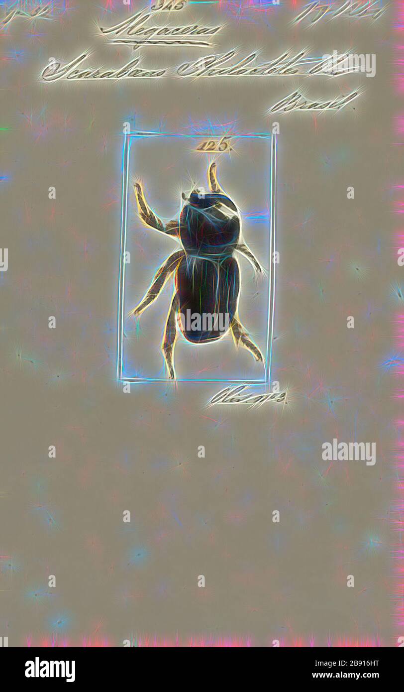 Megaceras, Print, Reimagined by Gibon, design of warm cheerful glowing ...