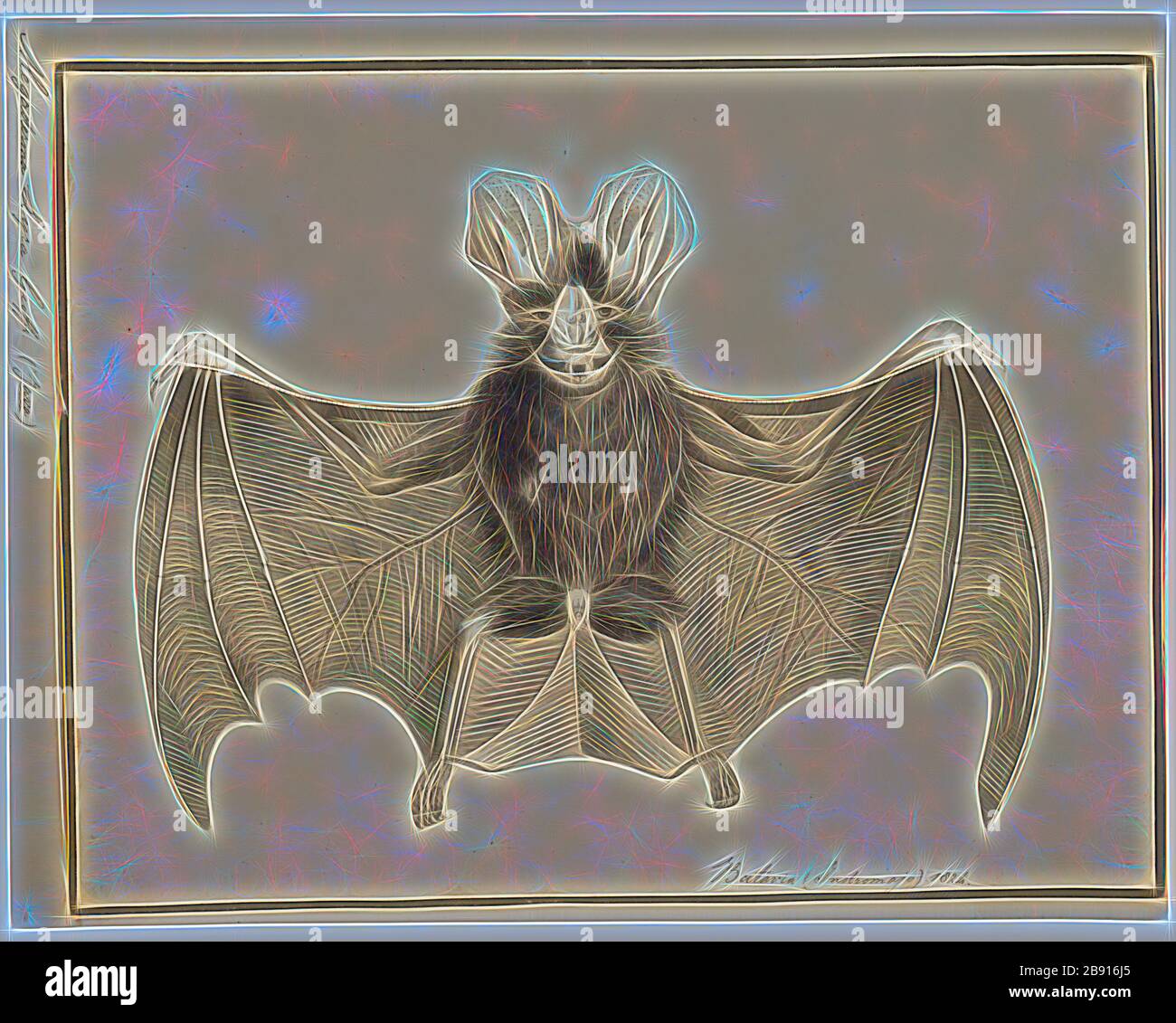 Megaderma lyra, Print, The greater false vampire bat (Megaderma lyra ...