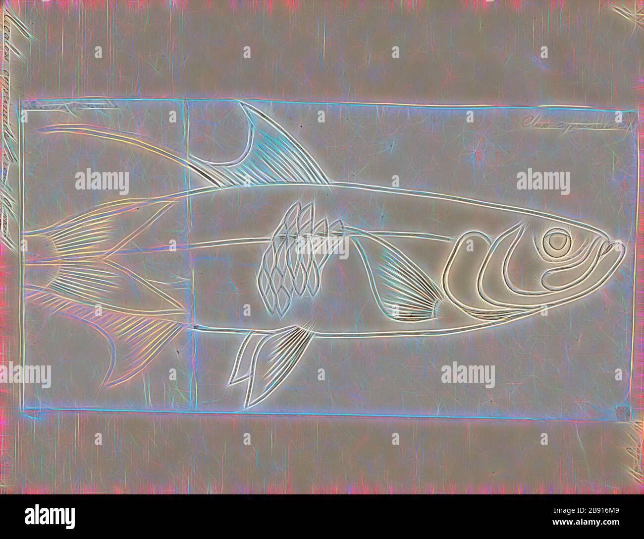 Indo Pacific Tarpon High Resolution Stock Photography and Images - Alamy