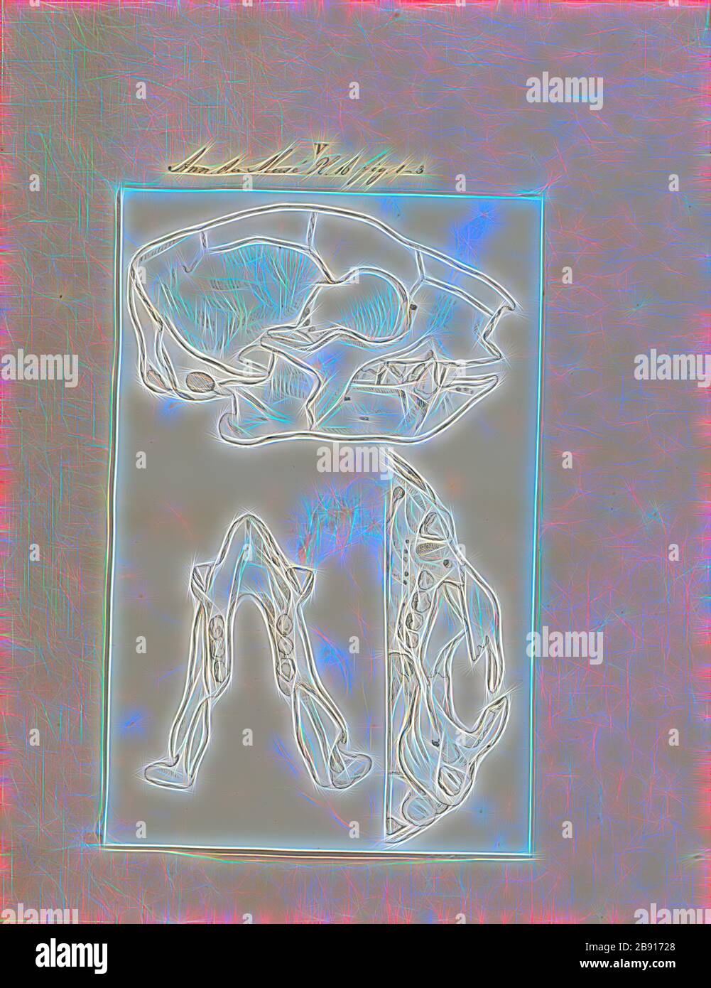 Megatherium cuvierii, Print, Megatherium was a genus of elephant-sized ...