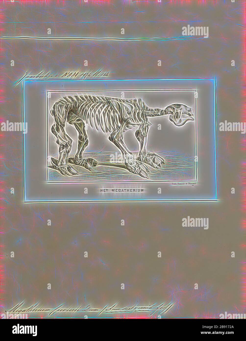 Megatherium cuvierii, Print, Megatherium was a genus of elephant-sized ...