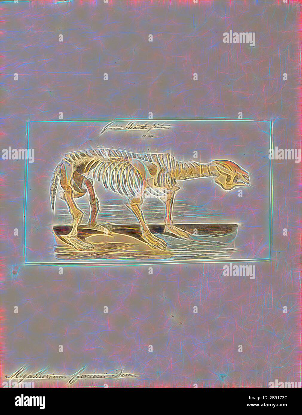 Megatherium cuvierii, Print, Megatherium was a genus of elephant-sized ...