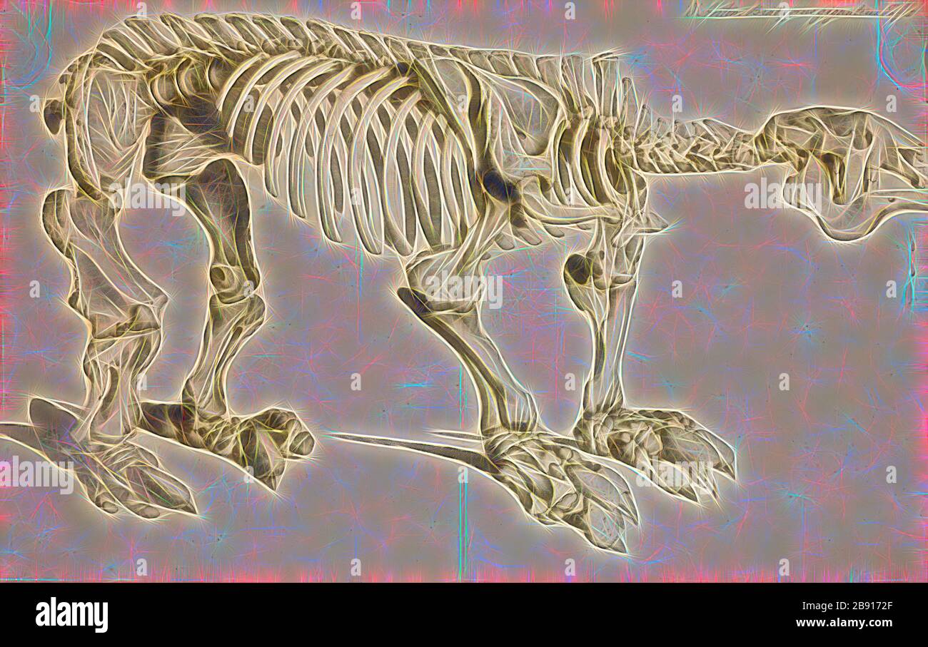 Elephant sized ground sloth hi-res stock photography and images - Alamy