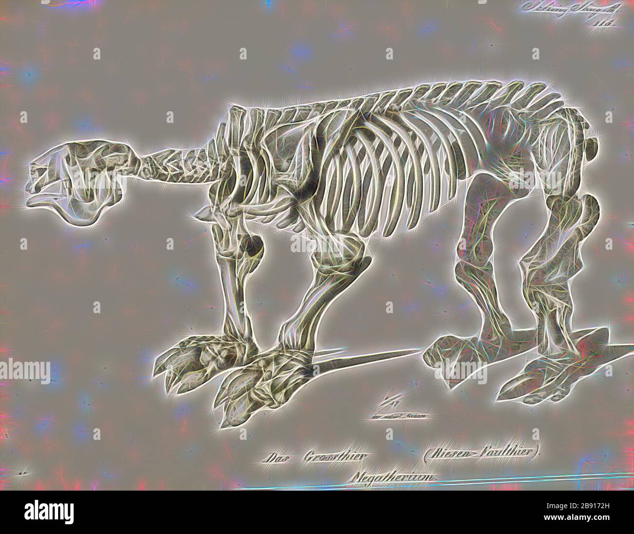 Elephant sized ground sloth hi-res stock photography and images - Alamy