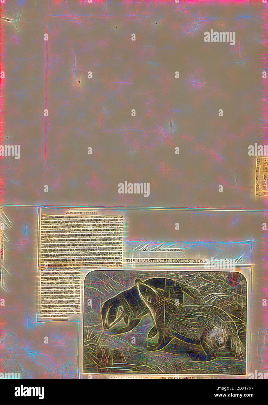 Name nihonanaguma hi-res stock photography and images - Alamy