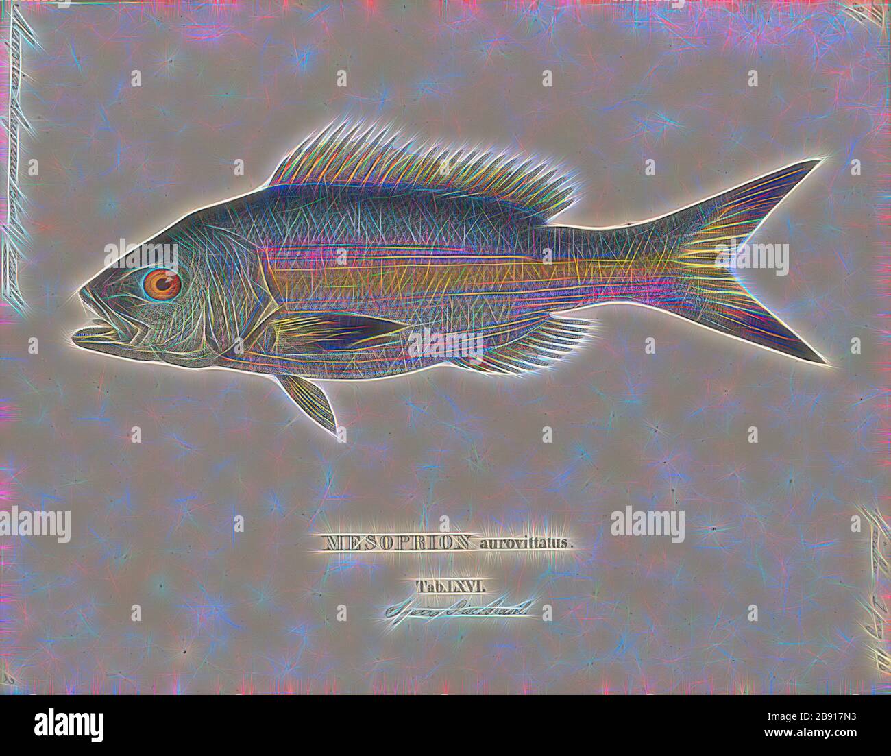 590 kg hi-res stock photography and images - Alamy