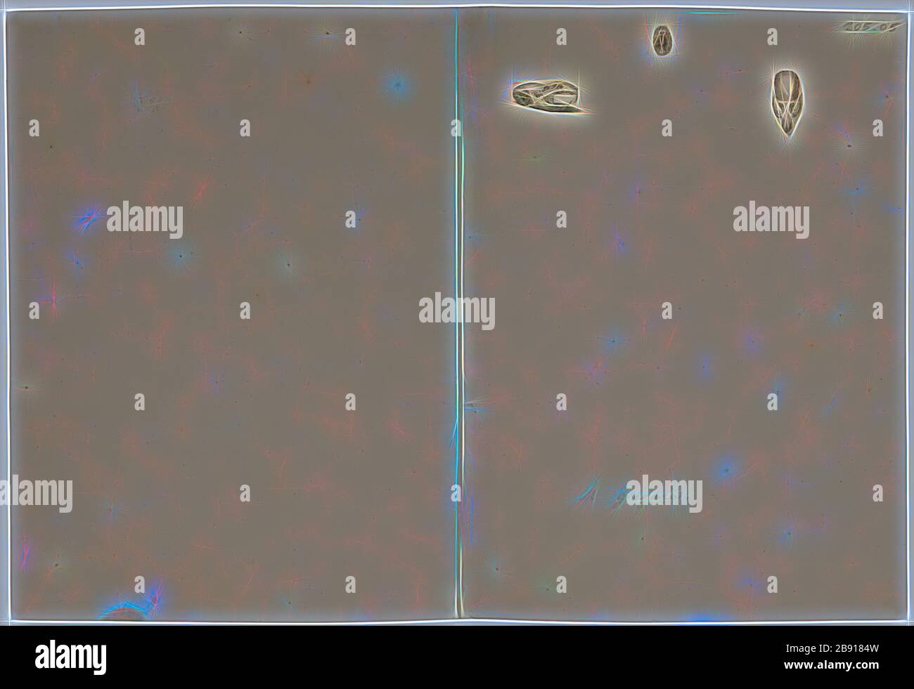 Microtus gregalis, Print, The narrow-headed vole (Microtus gregalis) is ...