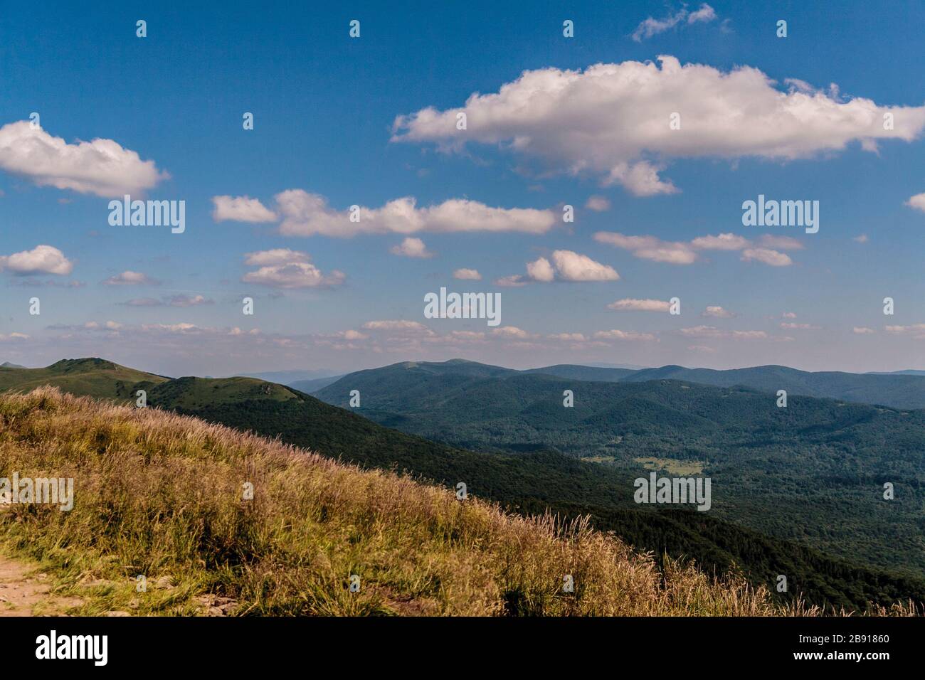 The road from Mieczysław Orłowicz Pass to Smerek Peak in the Bieszczady ...