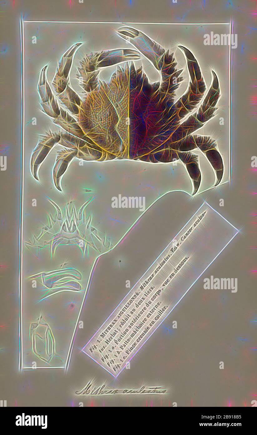 Body morphology hi-res stock photography and images - Alamy