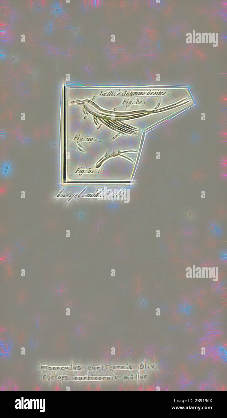 Monoculus curticornis, Print, Monoculus is a genus of succulent plants ...