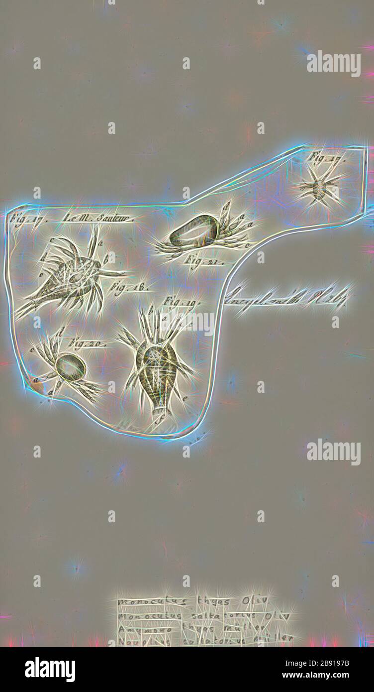 Monoculus thyas hi-res stock photography and images - Alamy