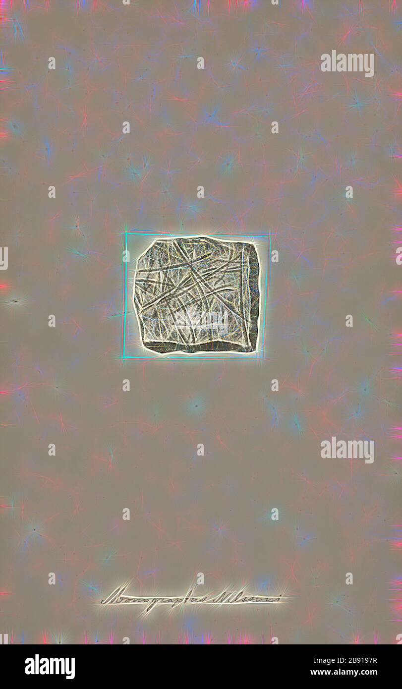 Order graptoloidea hi-res stock photography and images - Alamy