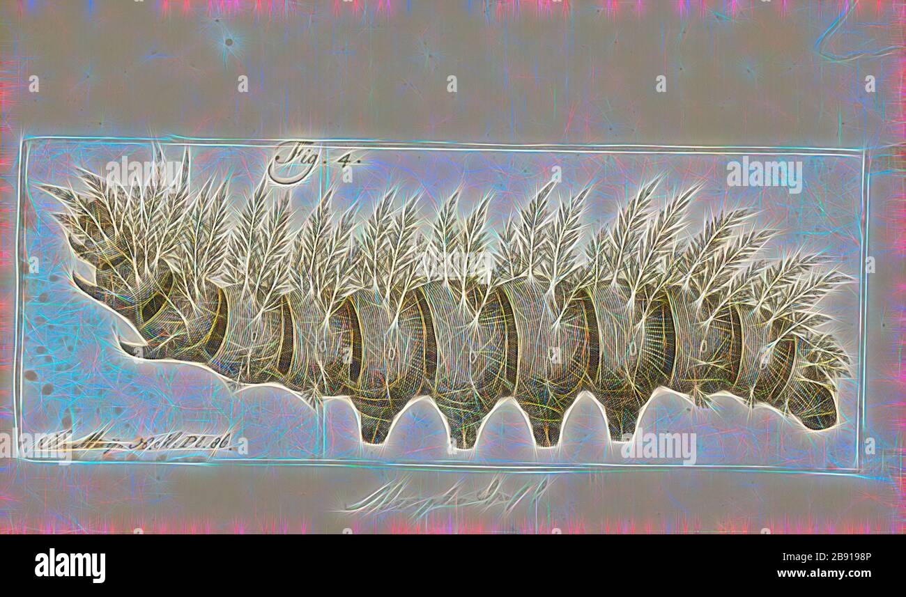 147 accepted subspecies hi-res stock photography and images - Alamy