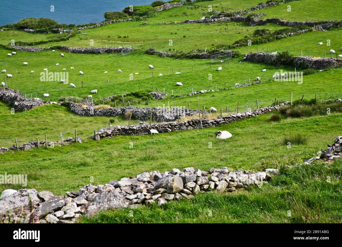 Rural irish landscapes hi-res stock photography and images - Alamy