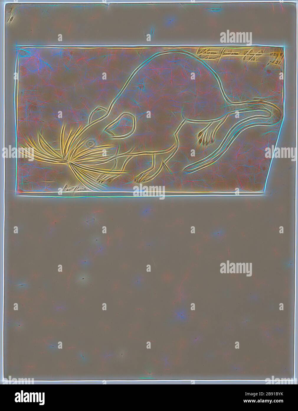 Neotoma hi-res stock photography and images - Alamy