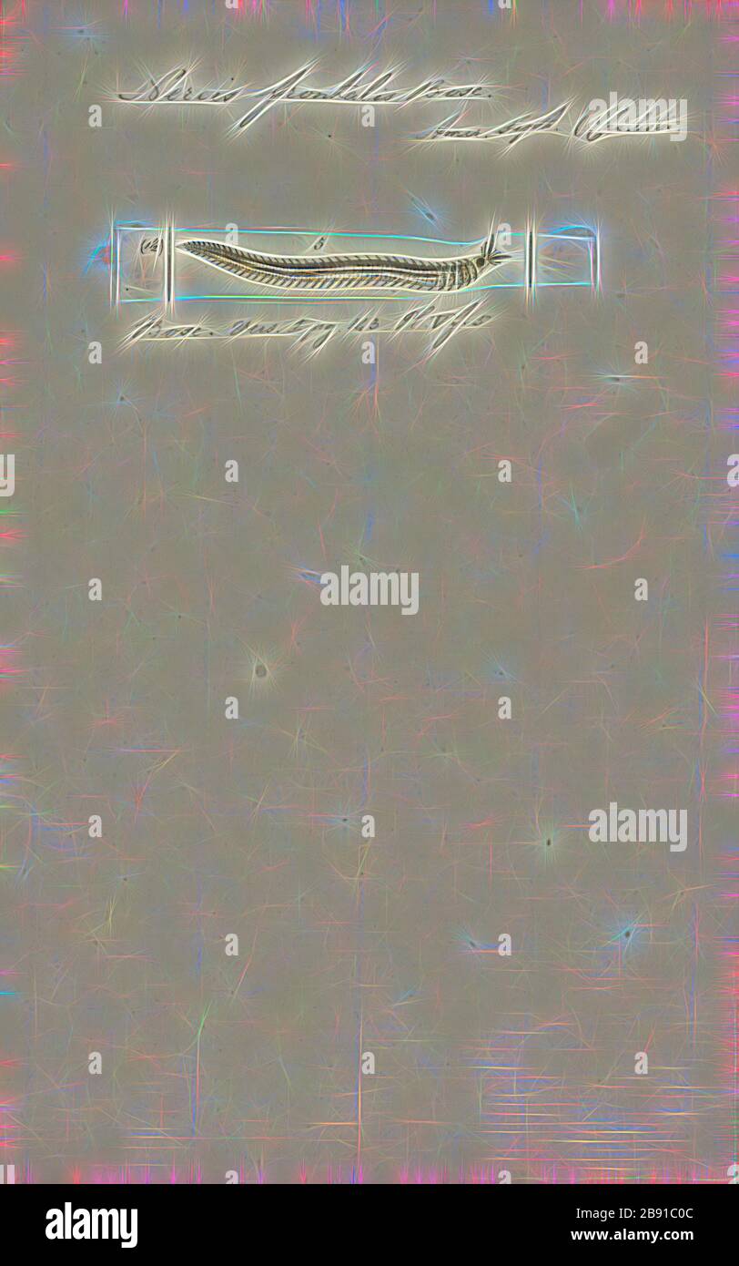 Locomotor Chaetae High Resolution Stock Photography and Images - Alamy