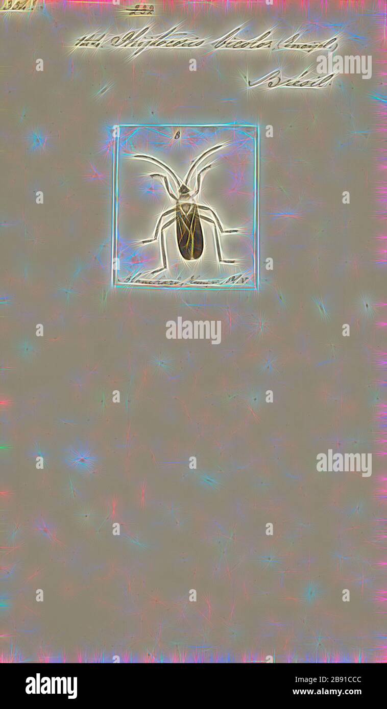 Notonecta, Print, Notonecta, or the common backswimmer, is a genus of ...