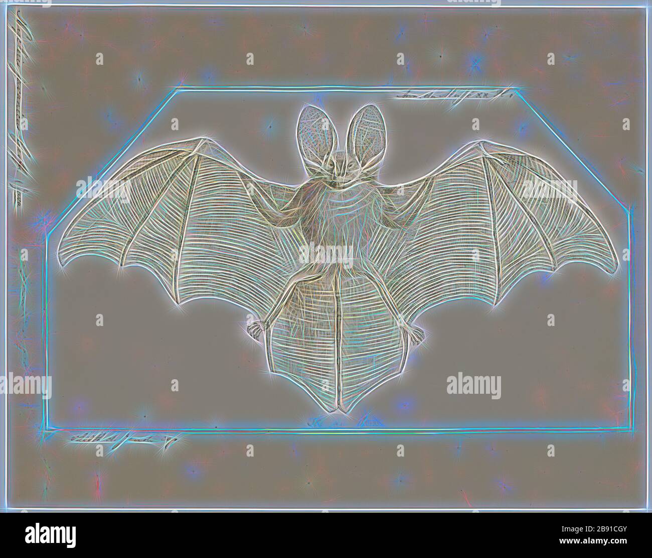 Slit faced bats hi-res stock photography and images - Alamy