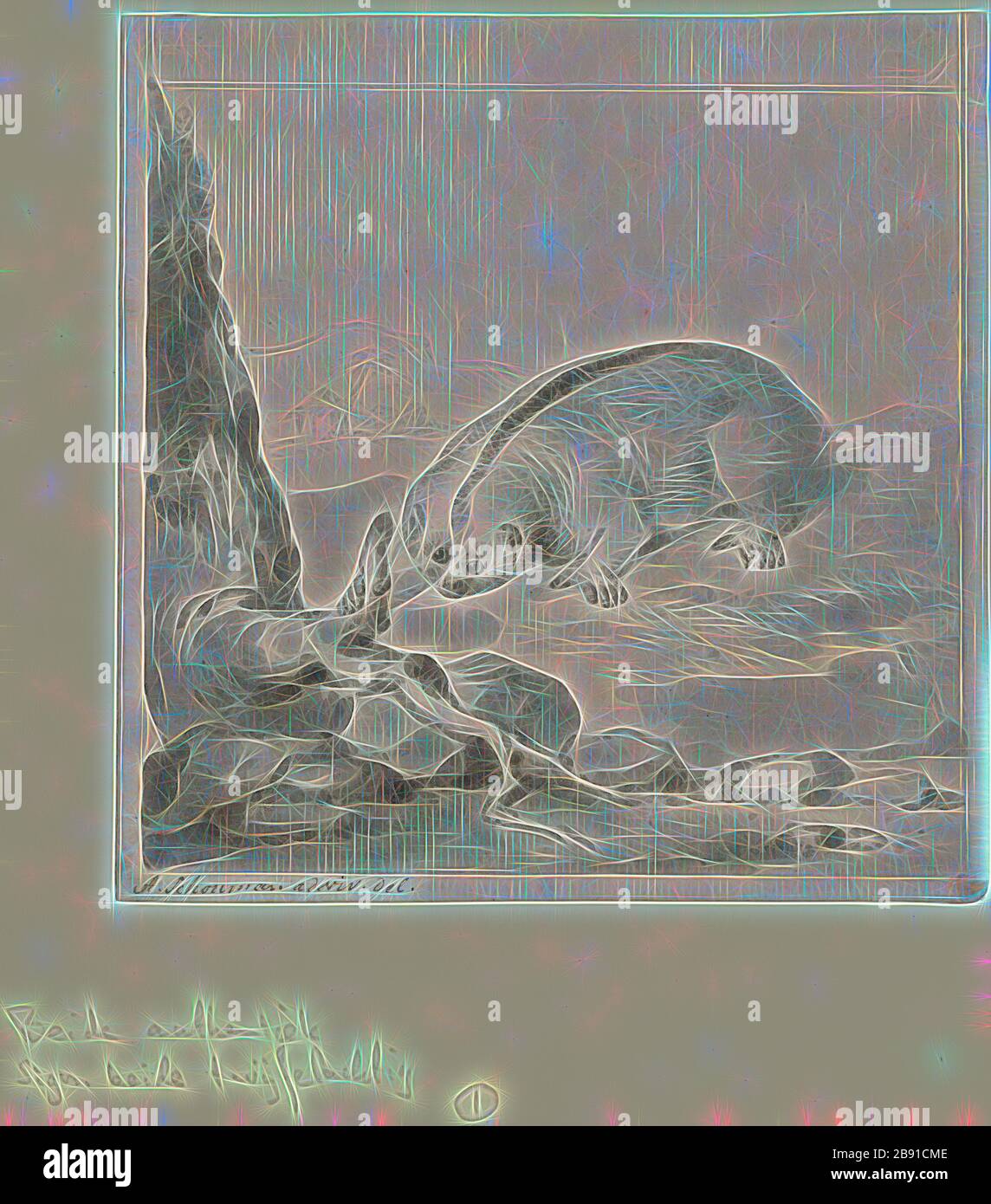 Slow loris native hi-res stock photography and images - Alamy