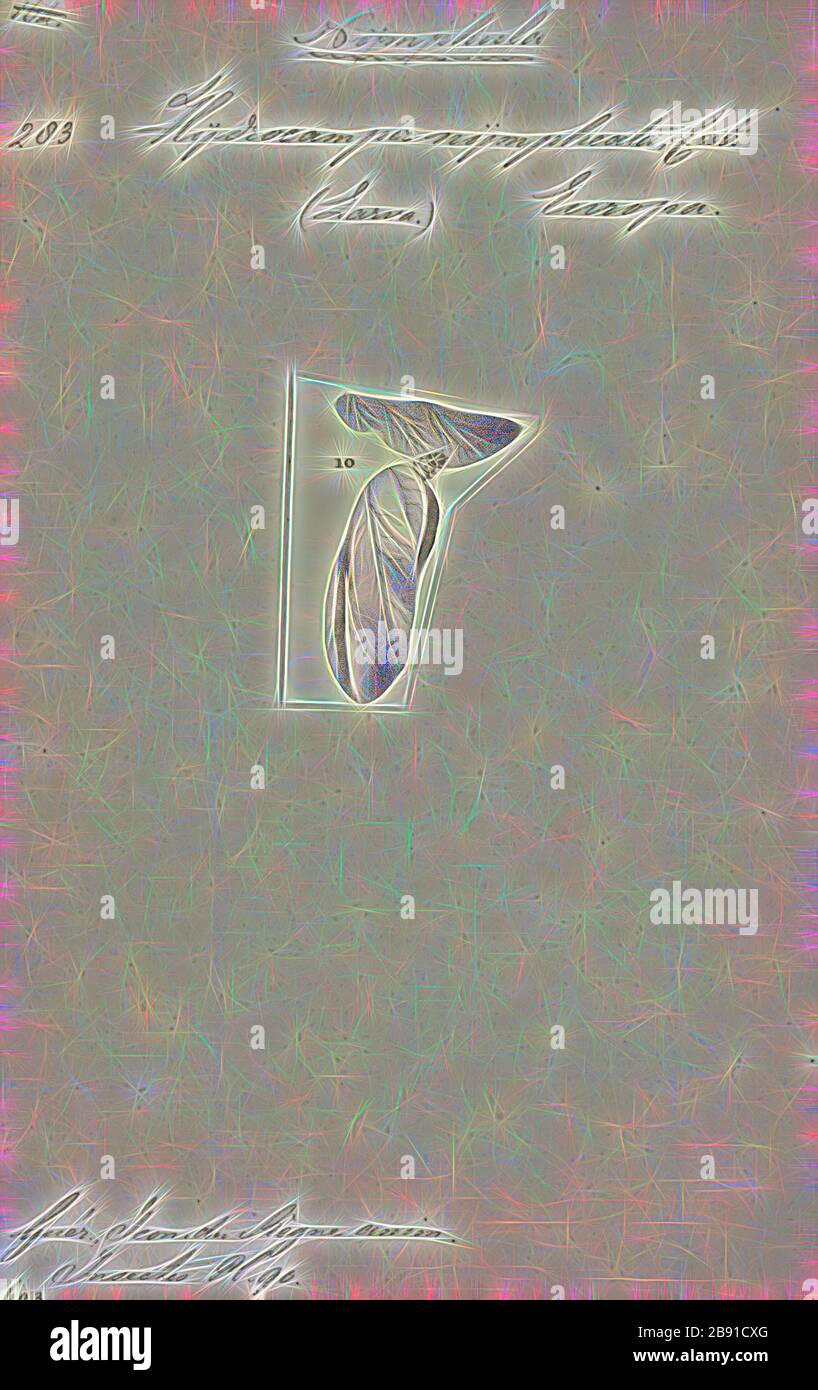 Nymphula, Print, Nymphula is a genus of moths of the Crambidae family ...