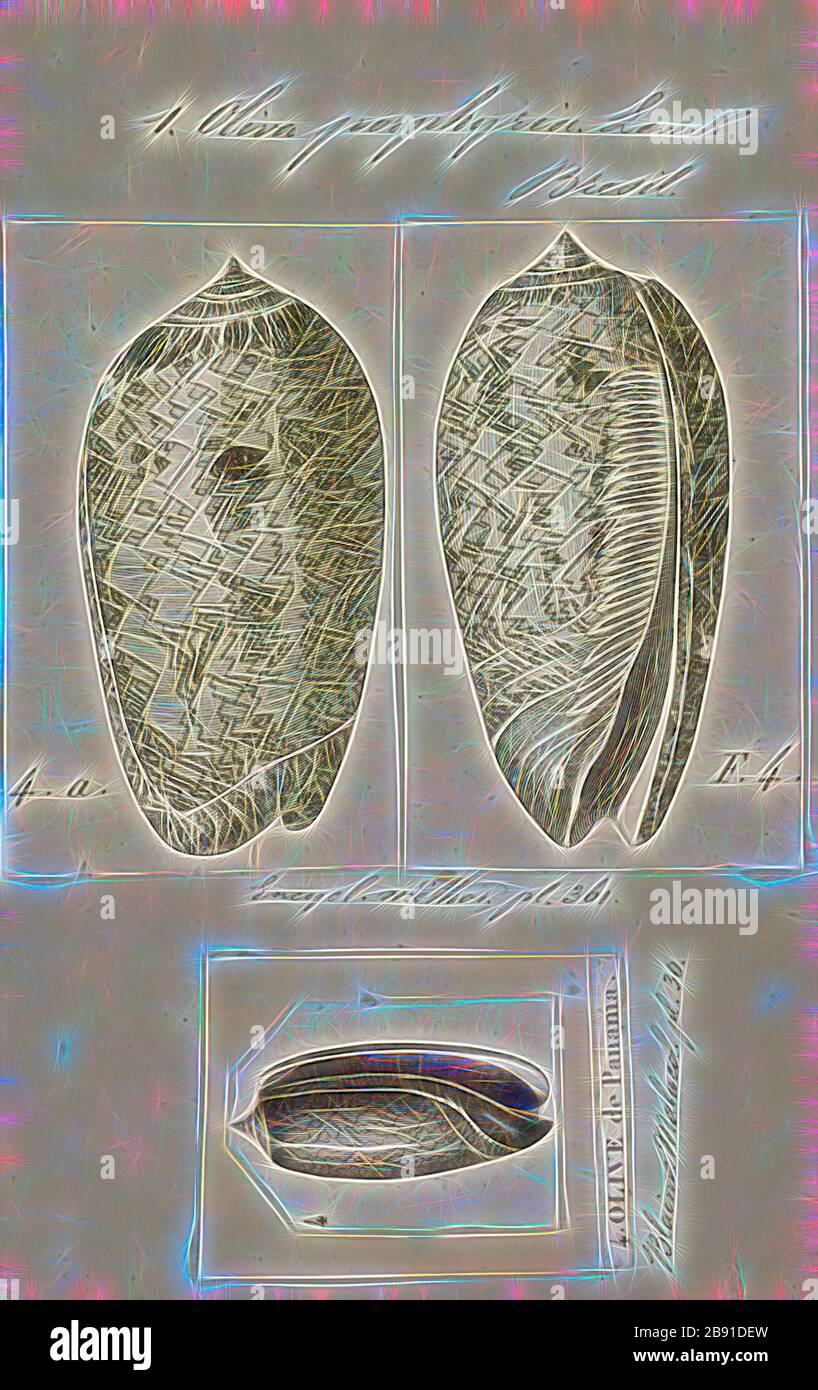 Tent olive shell hi-res stock photography and images - Alamy