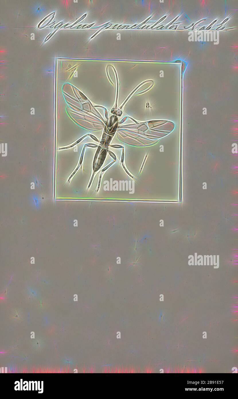 Orgilus, Print, Reimagined by Gibon, design of warm cheerful glowing of ...