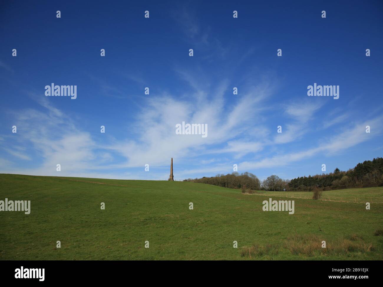 Wychbury obelisk, Hagley, Worcestershire, England, UK Stock Photo - Alamy