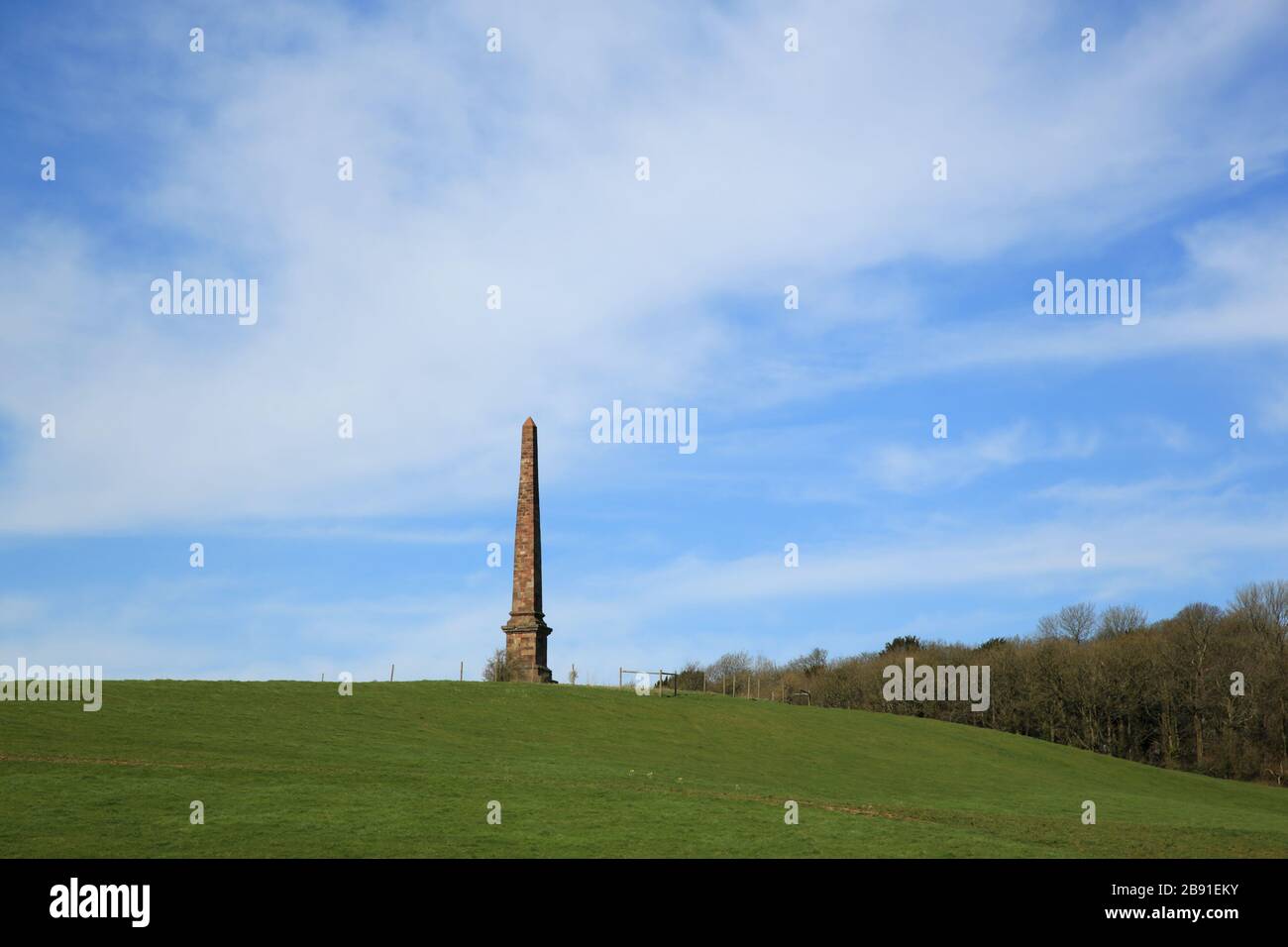 Wychbury obelisk, Hagley, Worcestershire, England, UK Stock Photo - Alamy