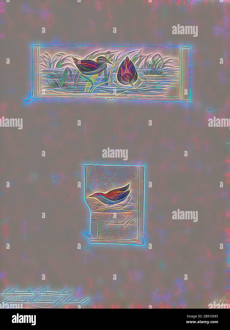 Tabuensis hi-res stock photography and images - Alamy