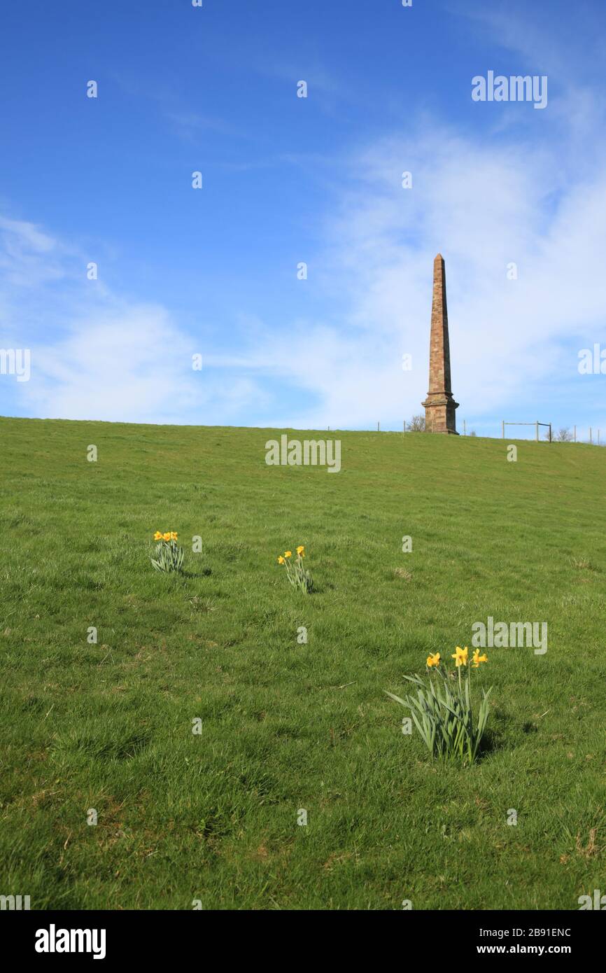 Wychbury hill monument hagley hi-res stock photography and images - Alamy
