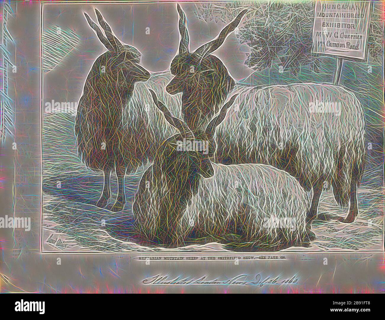 Sociable species hi-res stock photography and images - Alamy