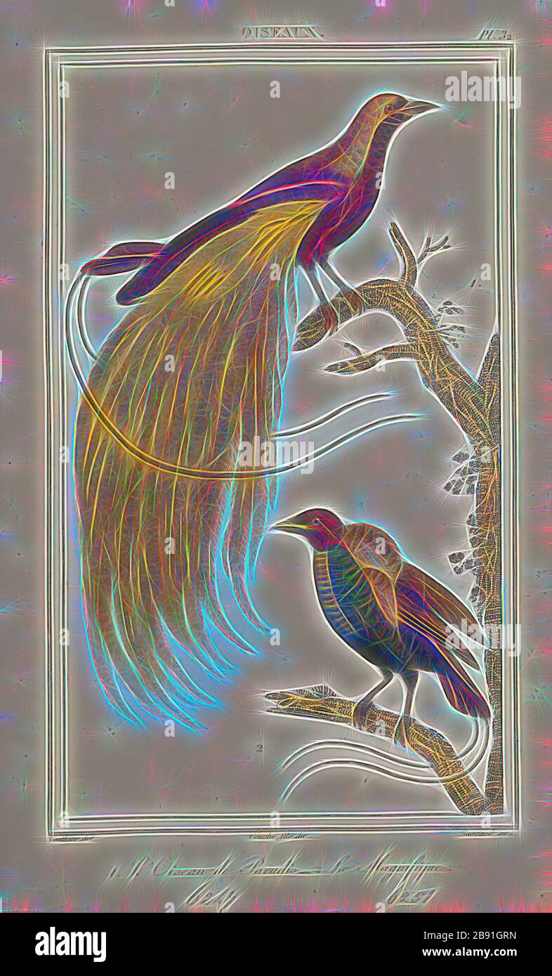 Anthericaceae family hi-res stock photography and images - Alamy