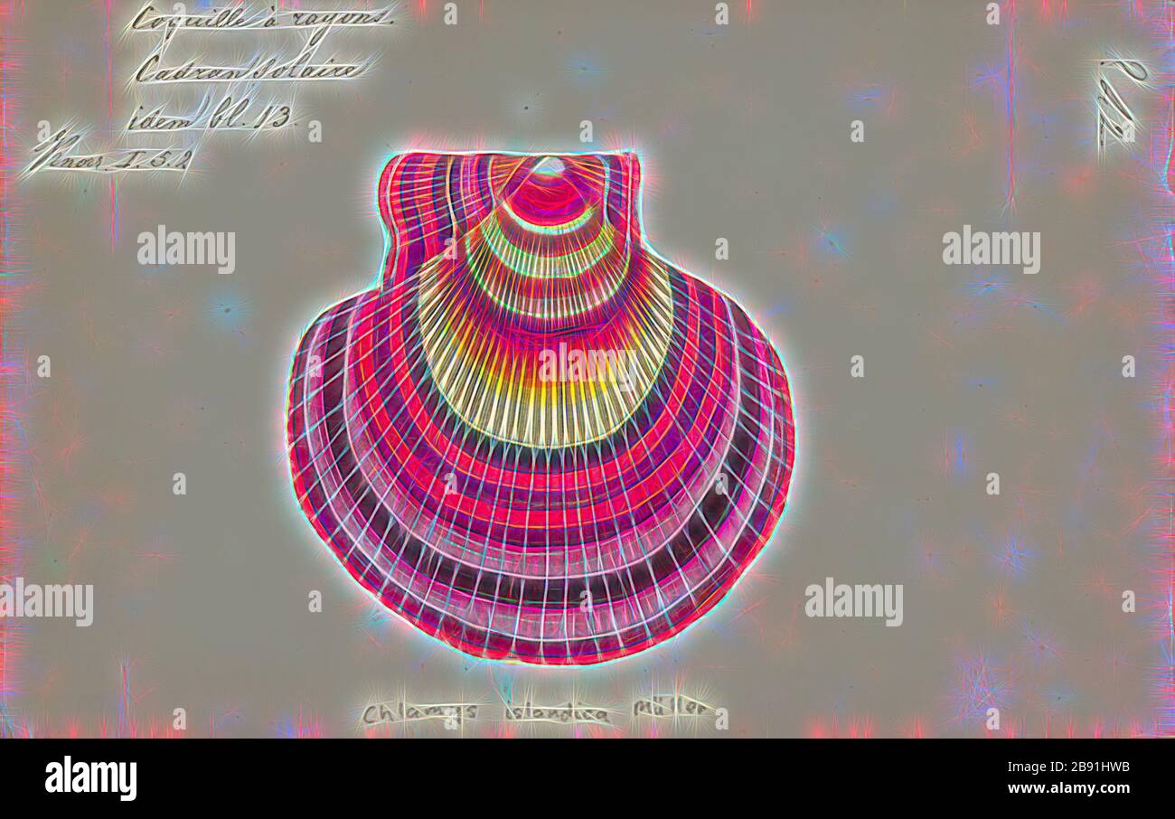 Pecten islandicus, Print, Reimagined by Gibon, design of warm cheerful ...