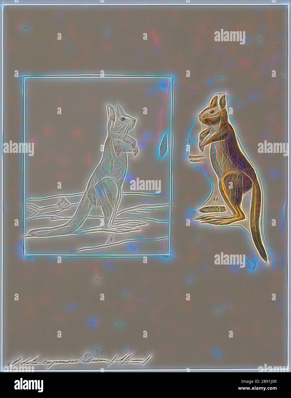 East african springhare hi-res stock photography and images - Alamy