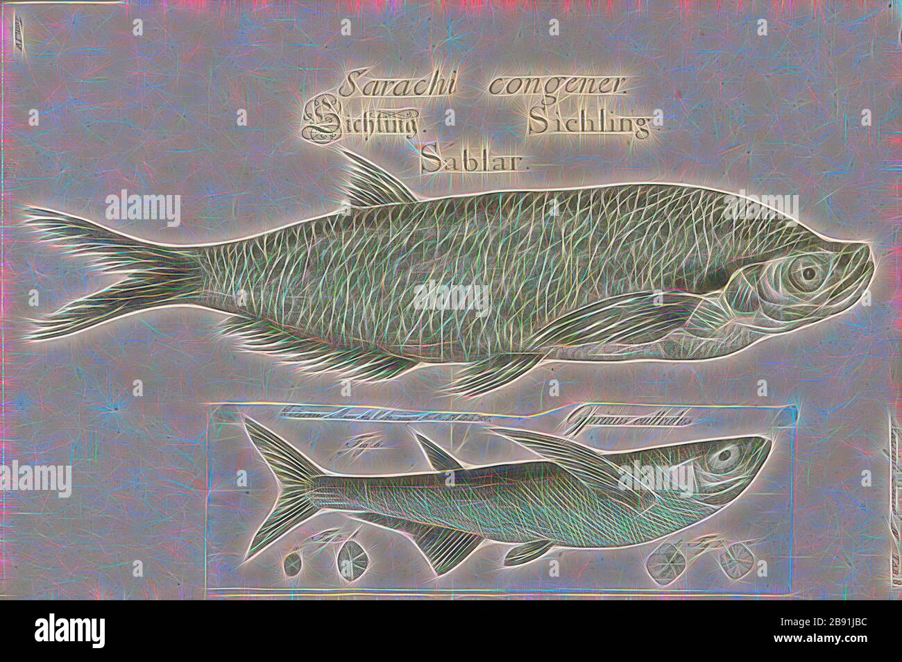 Adjacent asian regions hi-res stock photography and images - Alamy