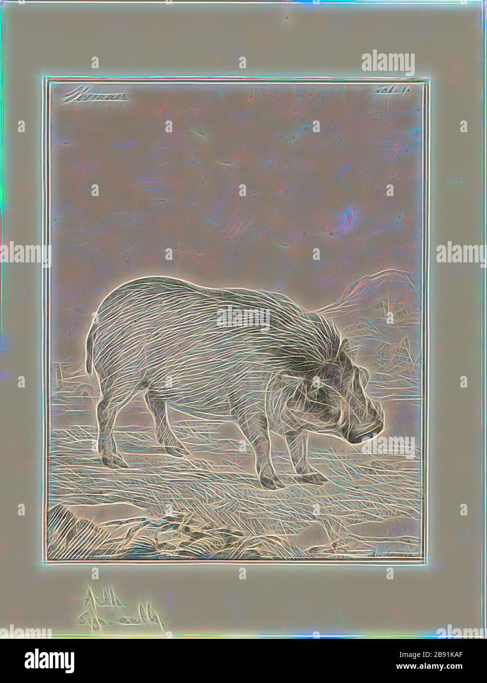 Formerly extinct species hi-res stock photography and images - Alamy