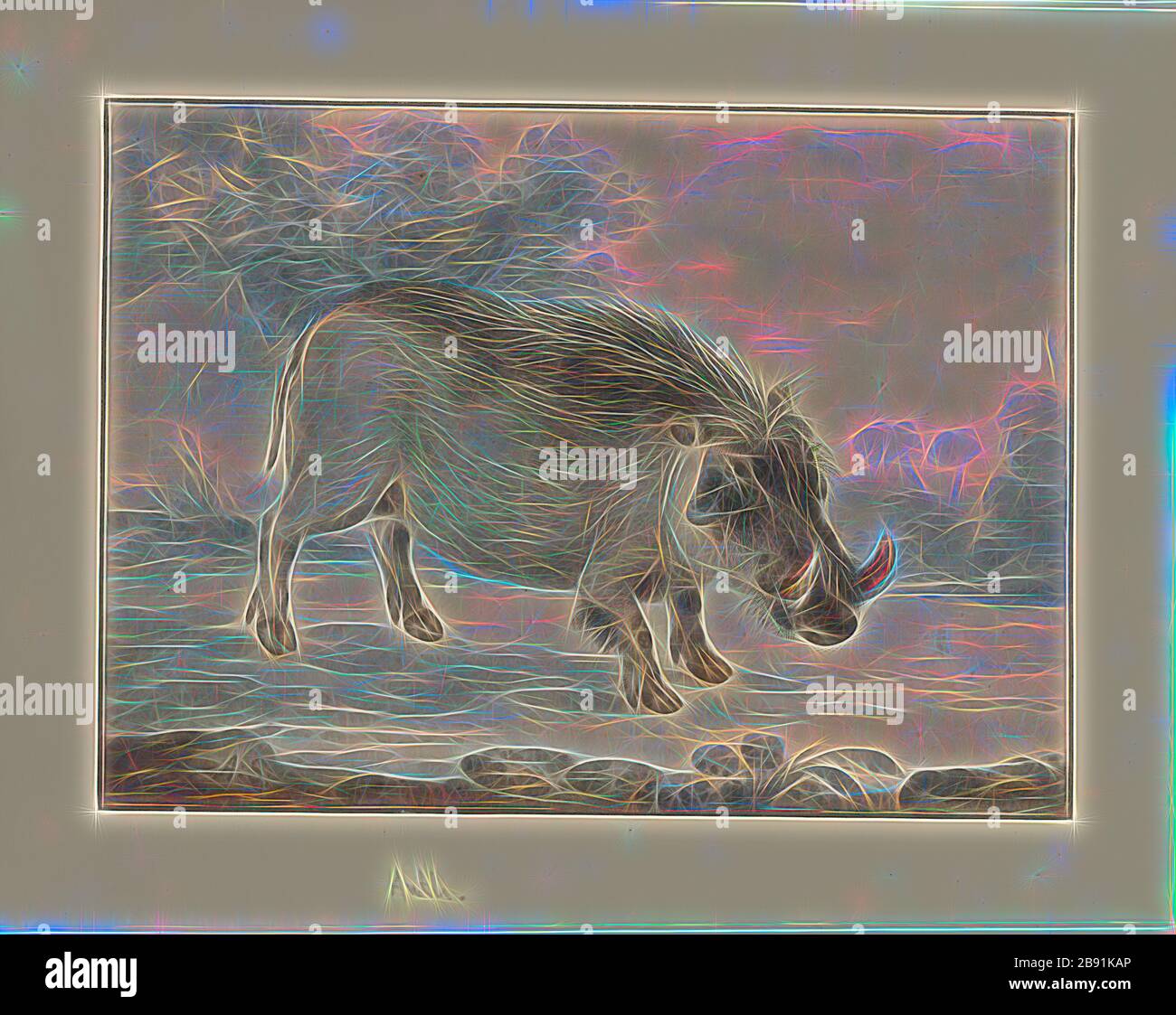 Formerly extinct species hi-res stock photography and images - Alamy