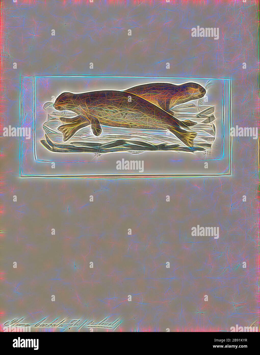 188 species hi-res stock photography and images - Alamy