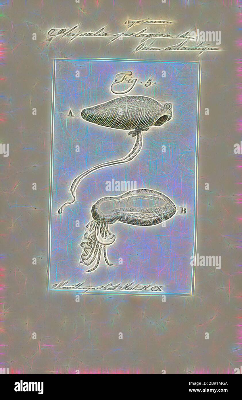 Indian mul hi-res stock photography and images - Alamy