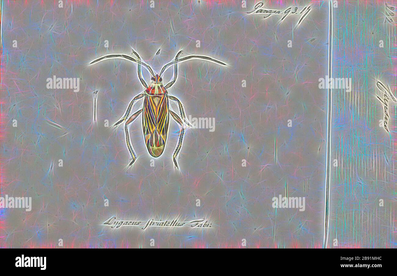 Bugs embracing hi-res stock photography and images - Alamy