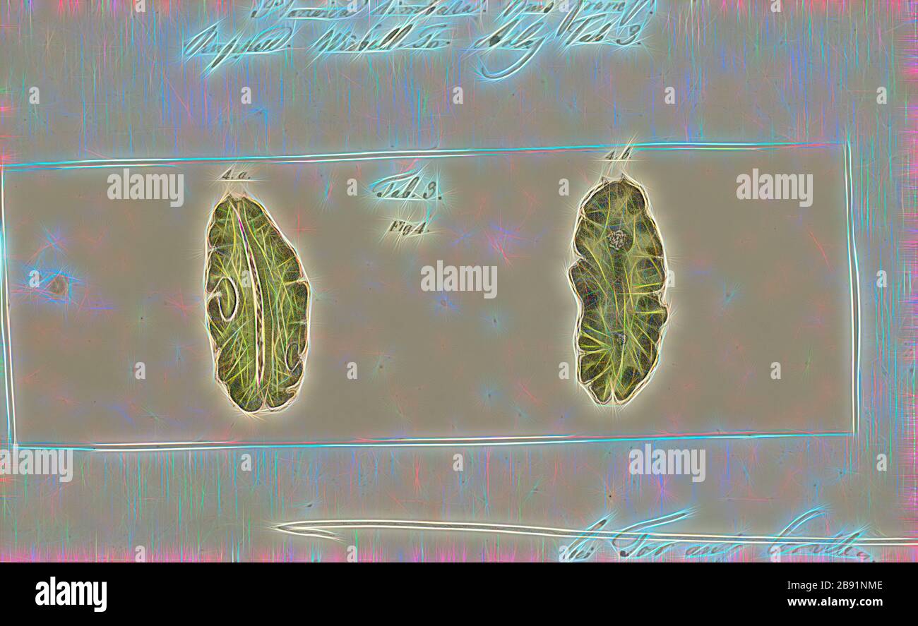 Fully formed individual hi-res stock photography and images - Alamy