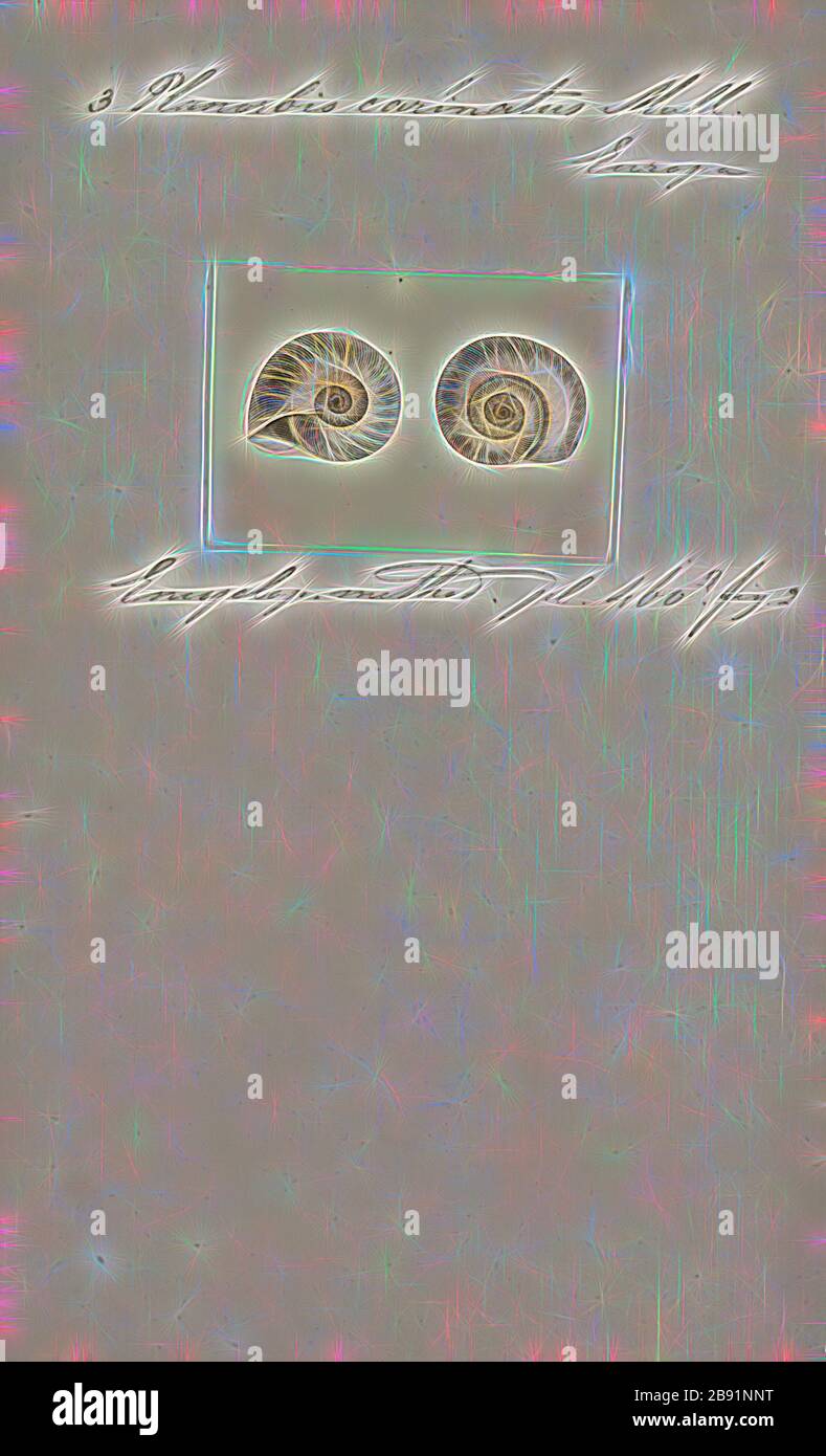 Planorbis carinatus, Print, Planorbis carinatus is species of air ...