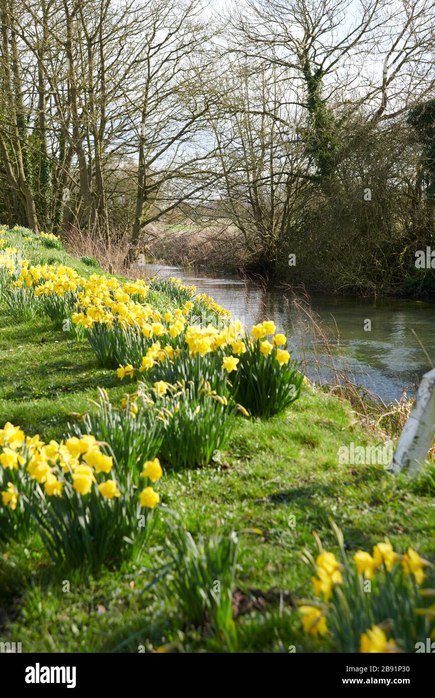 Driffield navigation canal hi-res stock photography and images - Alamy