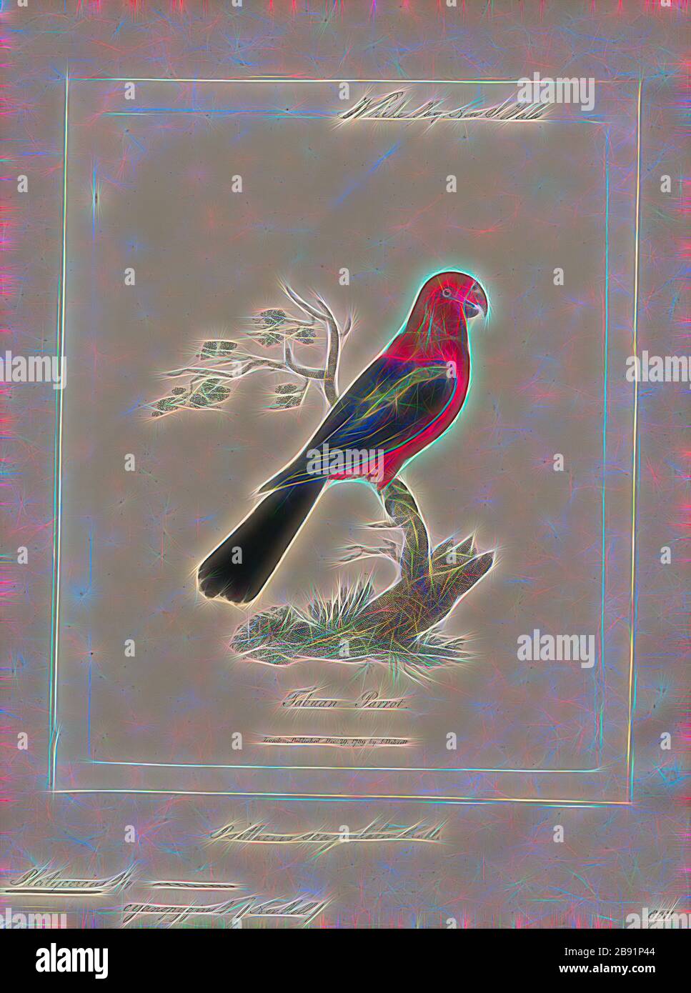 Six parrots hi-res stock photography and images - Alamy