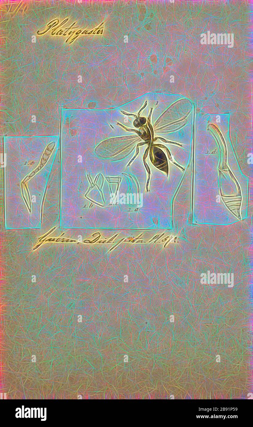 530 described species hi-res stock photography and images - Alamy