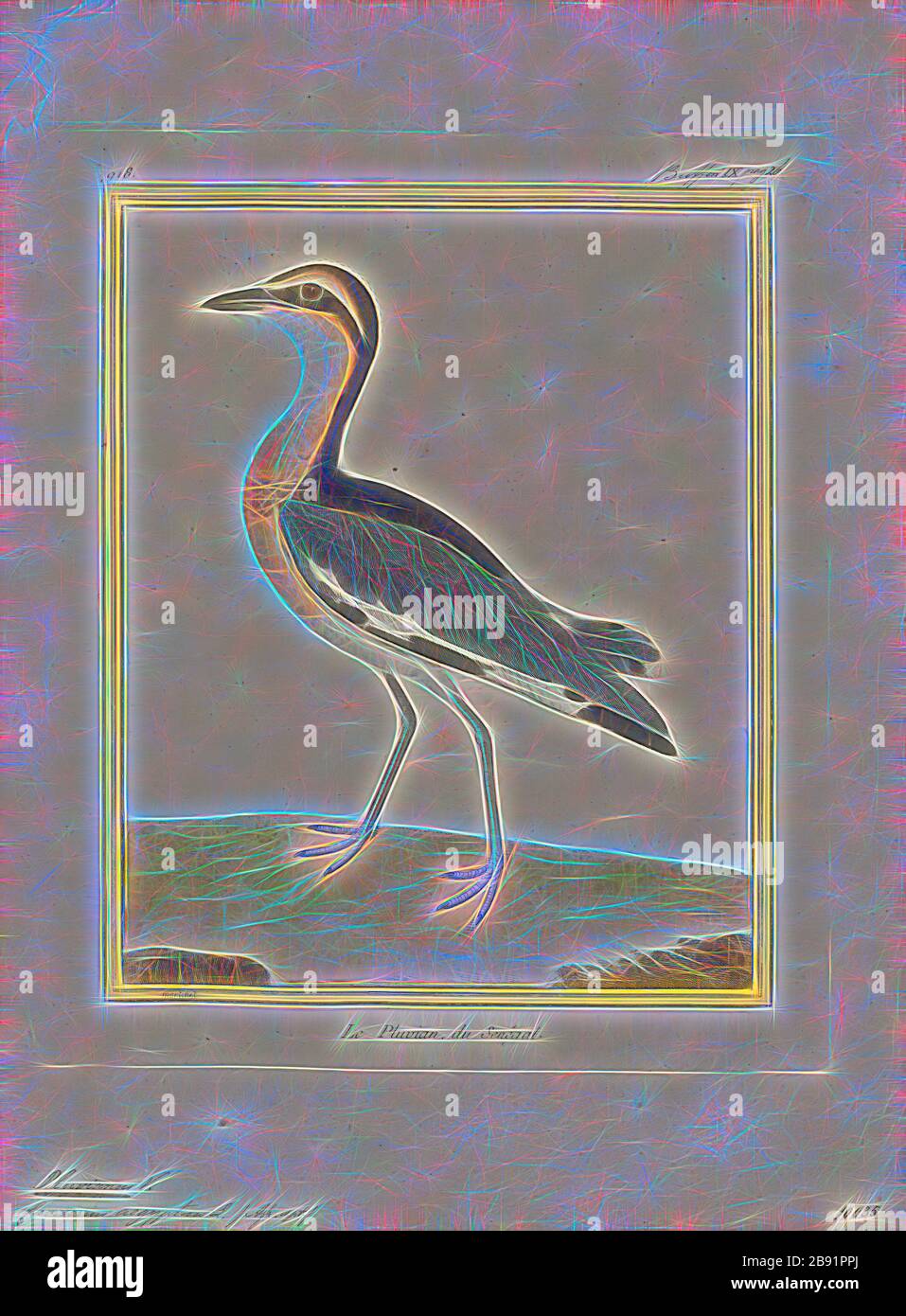 Plover bird crocodile hi-res stock photography and images - Alamy